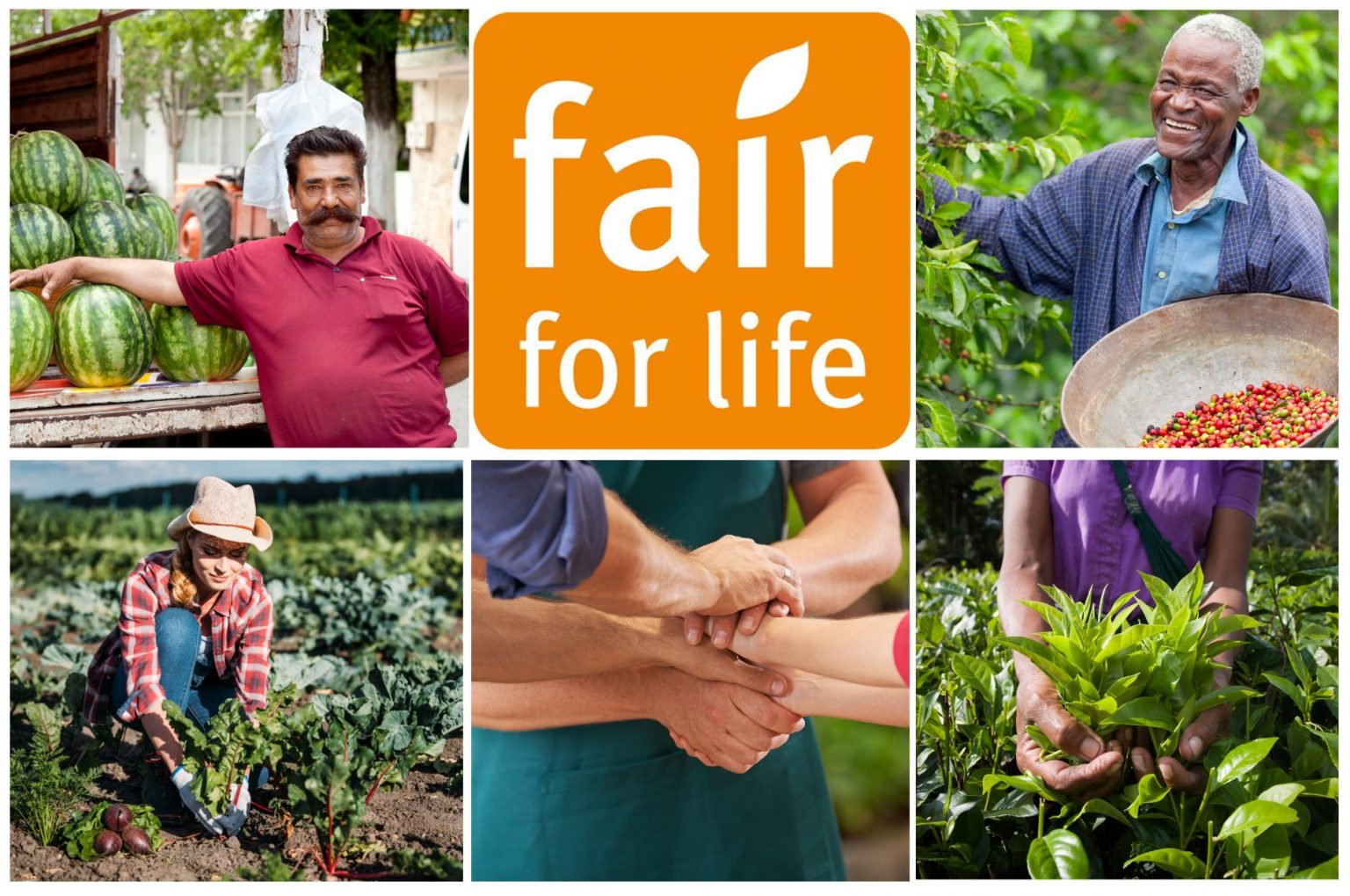 The Fairtrade Certification - Everything You Need to Know (Climate ...