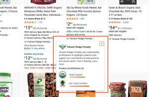 Amazon's Climate Pledge Friendly Badge: Everything you Need to Know (2023)